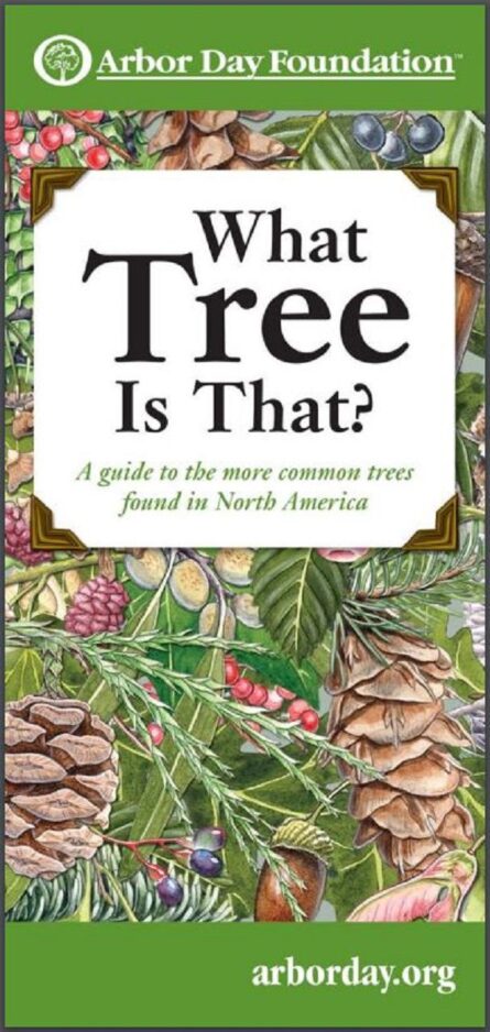 Tree Id book available from Arbor Day Foundation | News, Sports, Jobs ...